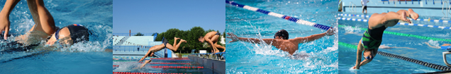 SwimmingCentral.net | Swimming and Diving Team Management Software